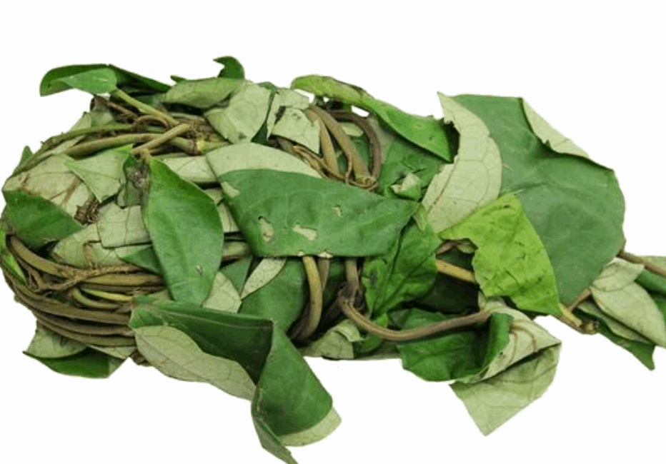 Uziza Leaves – Moriels Oasis Foods
